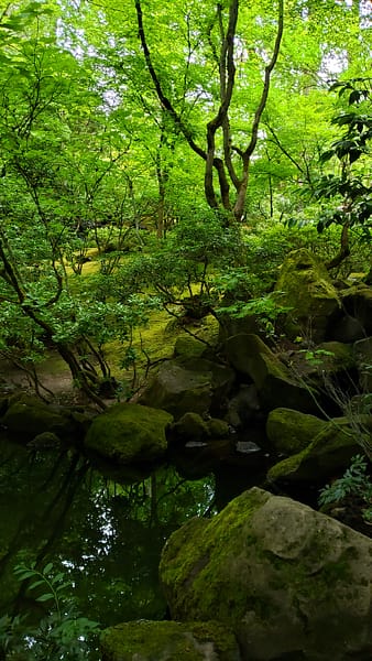 Photos from Our Community (September Closure Edition) – Portland ...