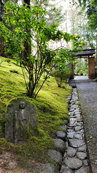 Photos from Our Community (September Closure Edition) – Portland ...