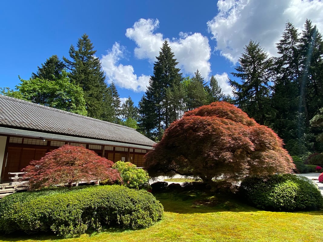Signs of Spring 2021 – Portland Japanese Garden