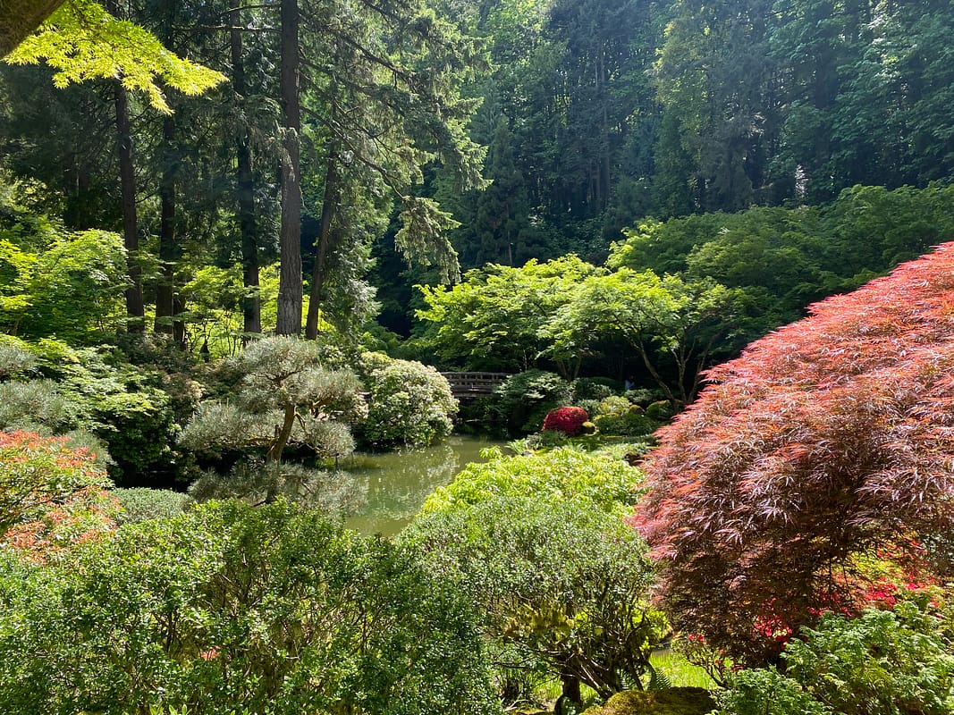 Spring Update: May 11 – Portland Japanese Garden