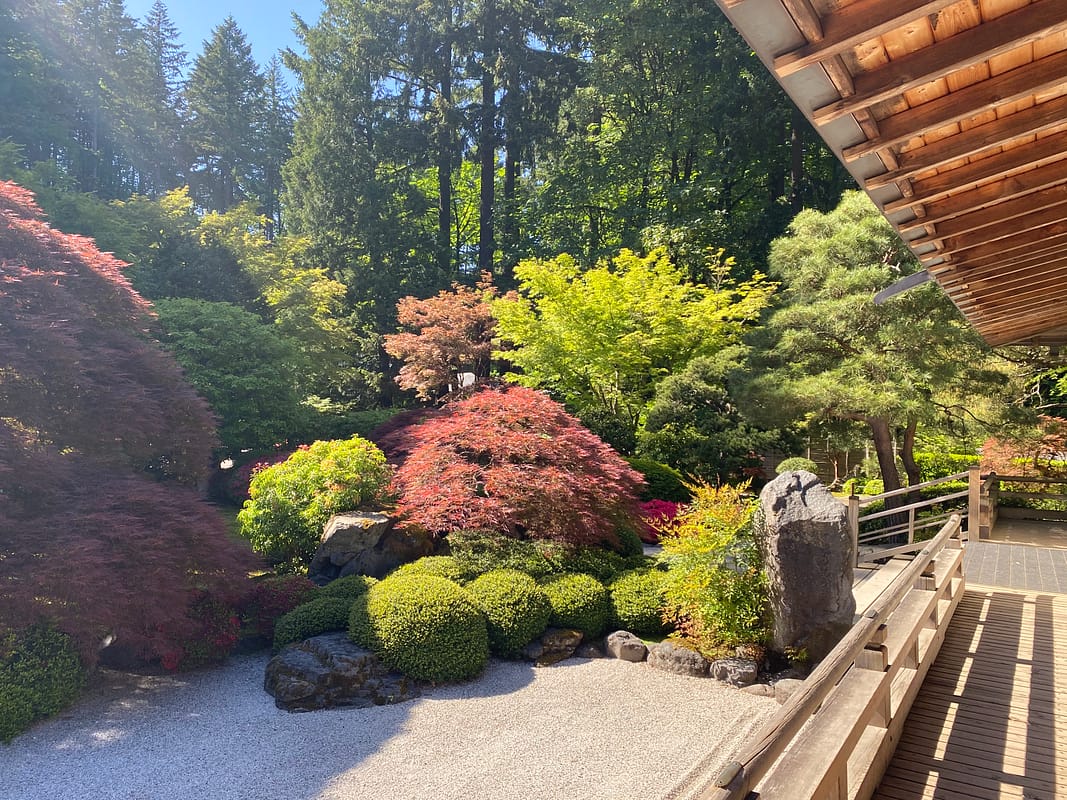 Spring Update: May 17 – Portland Japanese Garden