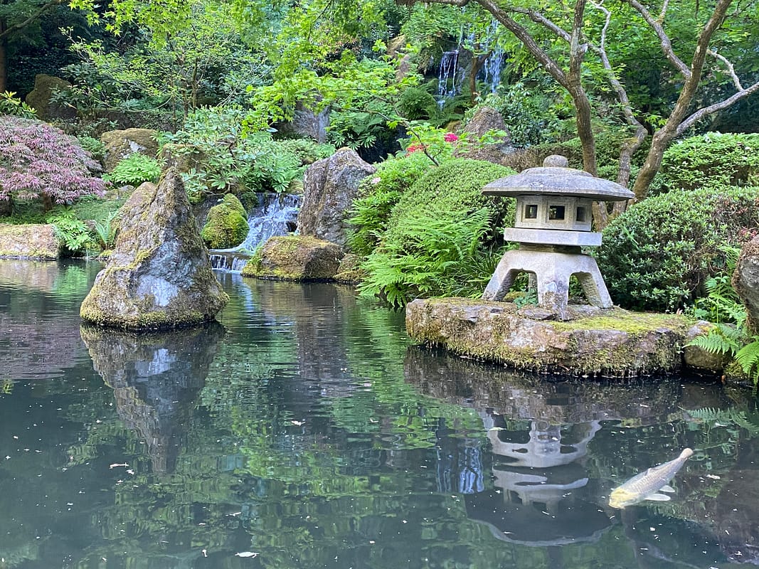 Spring Update: May 17 – Portland Japanese Garden