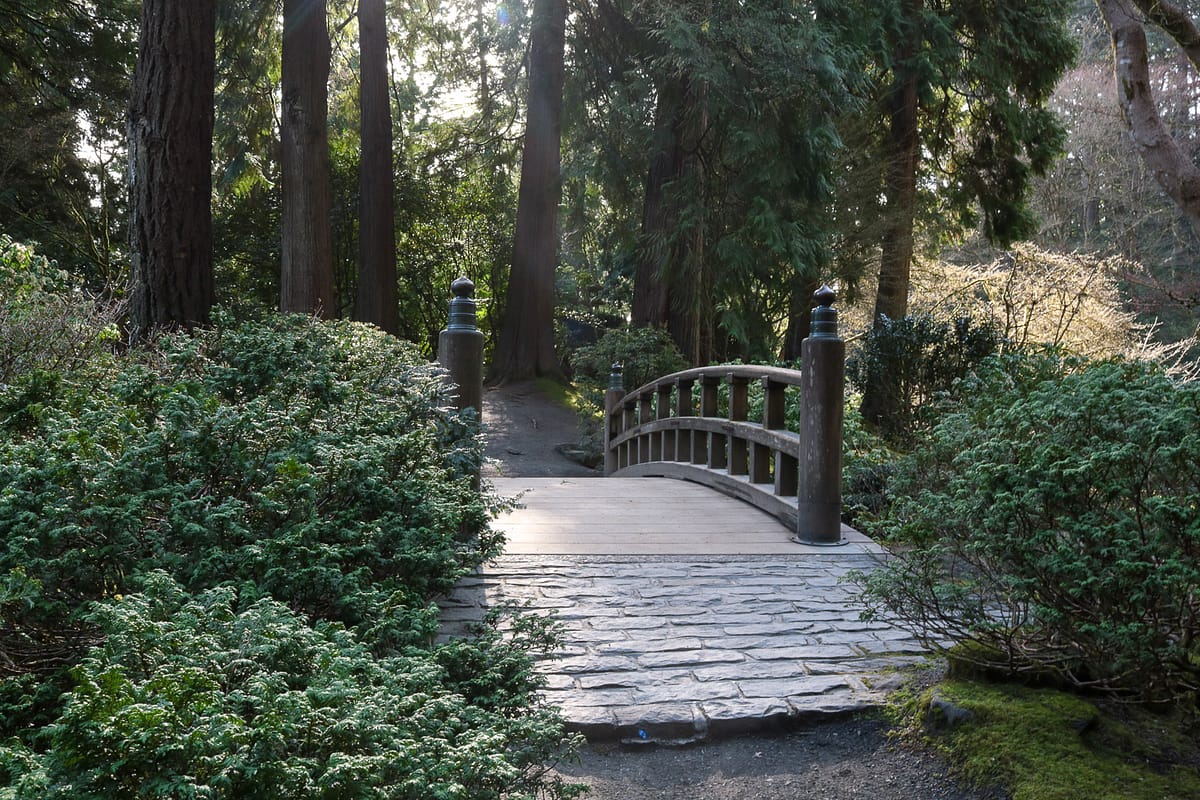 Signs of Spring – Portland Japanese Garden