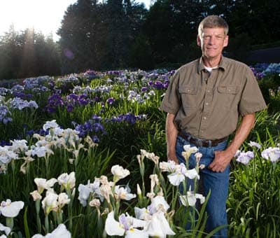 Talk About Japanese Iris by Chad Harris – Portland Japanese Garden