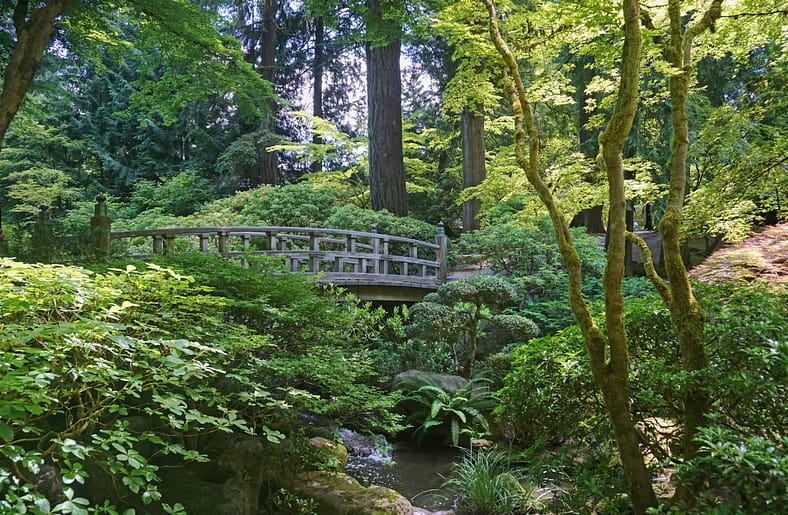American Sign Language (ASL) Interpreted Walking Tour – Portland ...