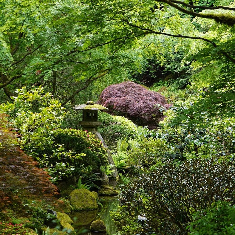 Your Summer Sanctuary – Portland Japanese Garden