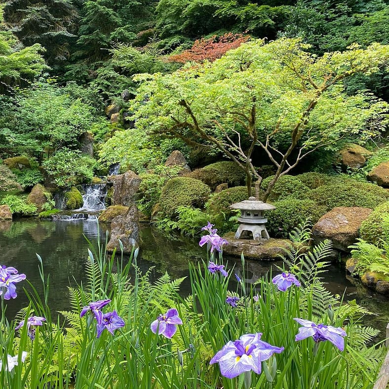 Your Summer Sanctuary – Portland Japanese Garden