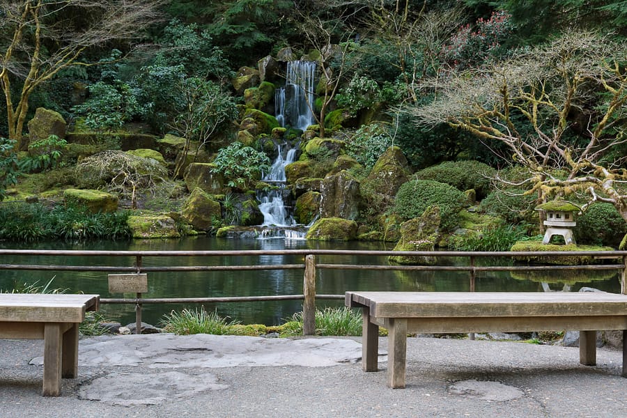 Signs of Spring – Portland Japanese Garden