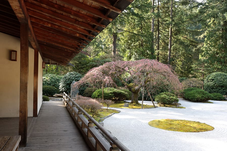 Signs of Spring – Portland Japanese Garden