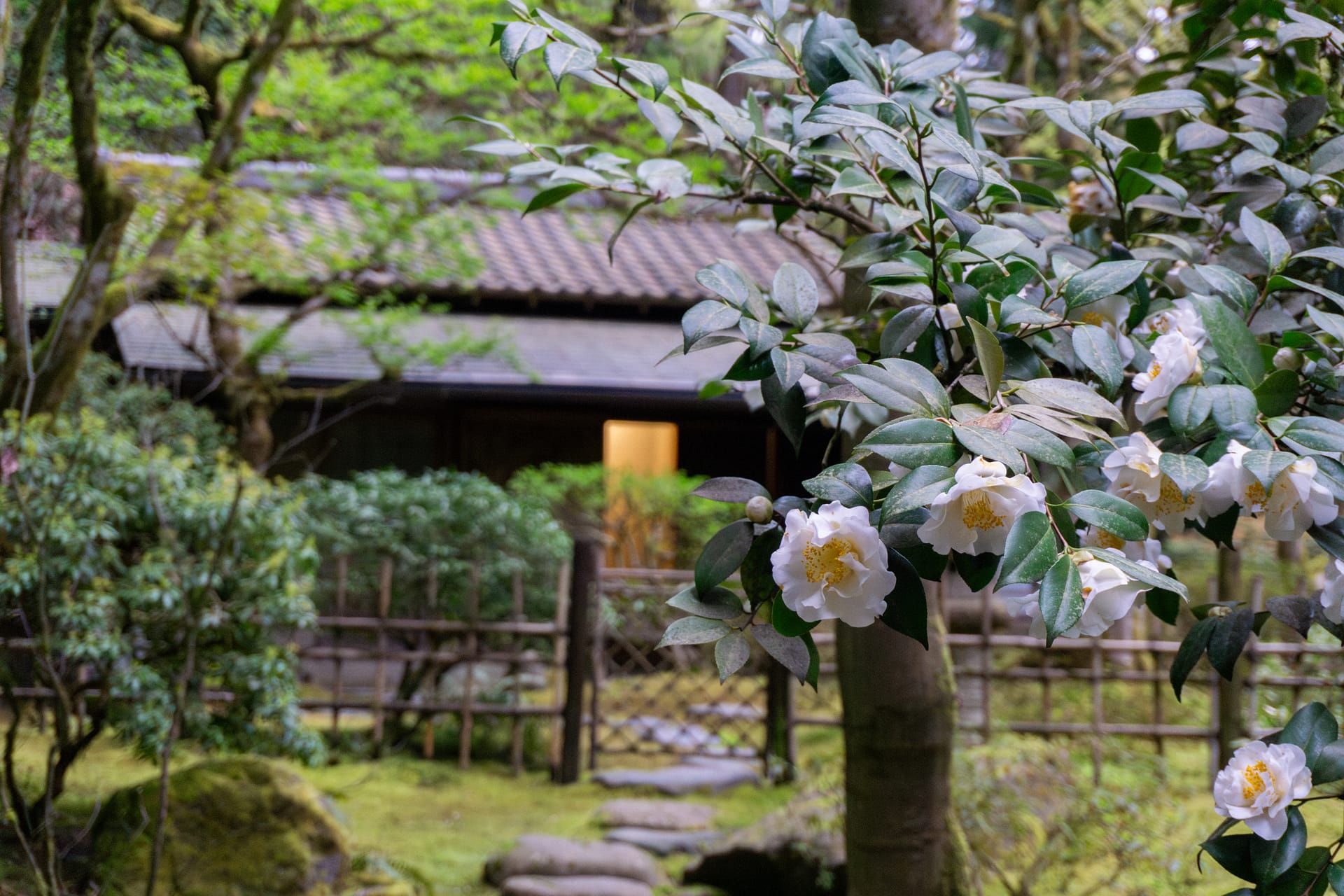2024 Media Coverage of Portland Japanese Garden – Portland Japanese Garden