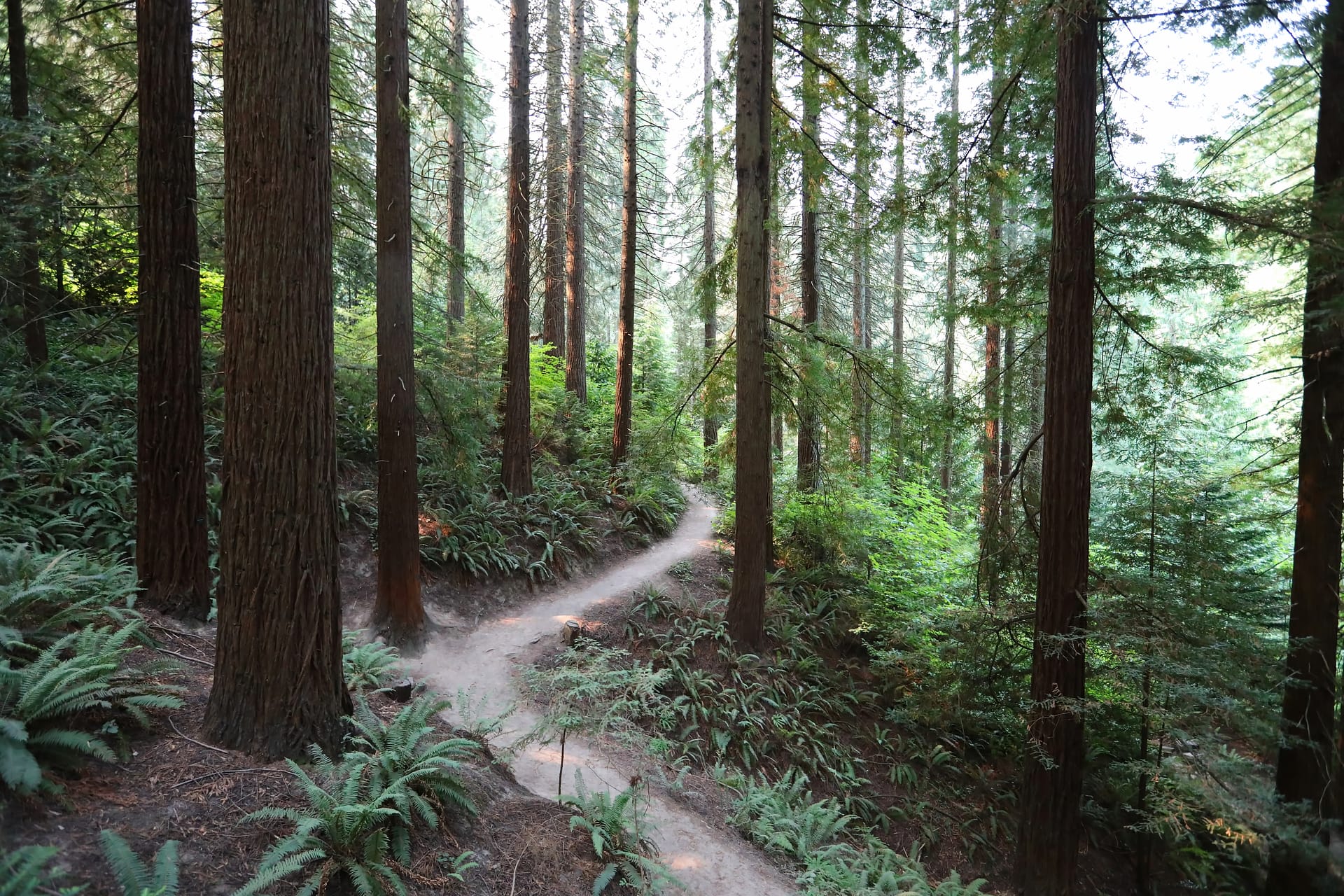 How to Plan the Perfect Day of Visits to Portland’s Incredible Gardens ...