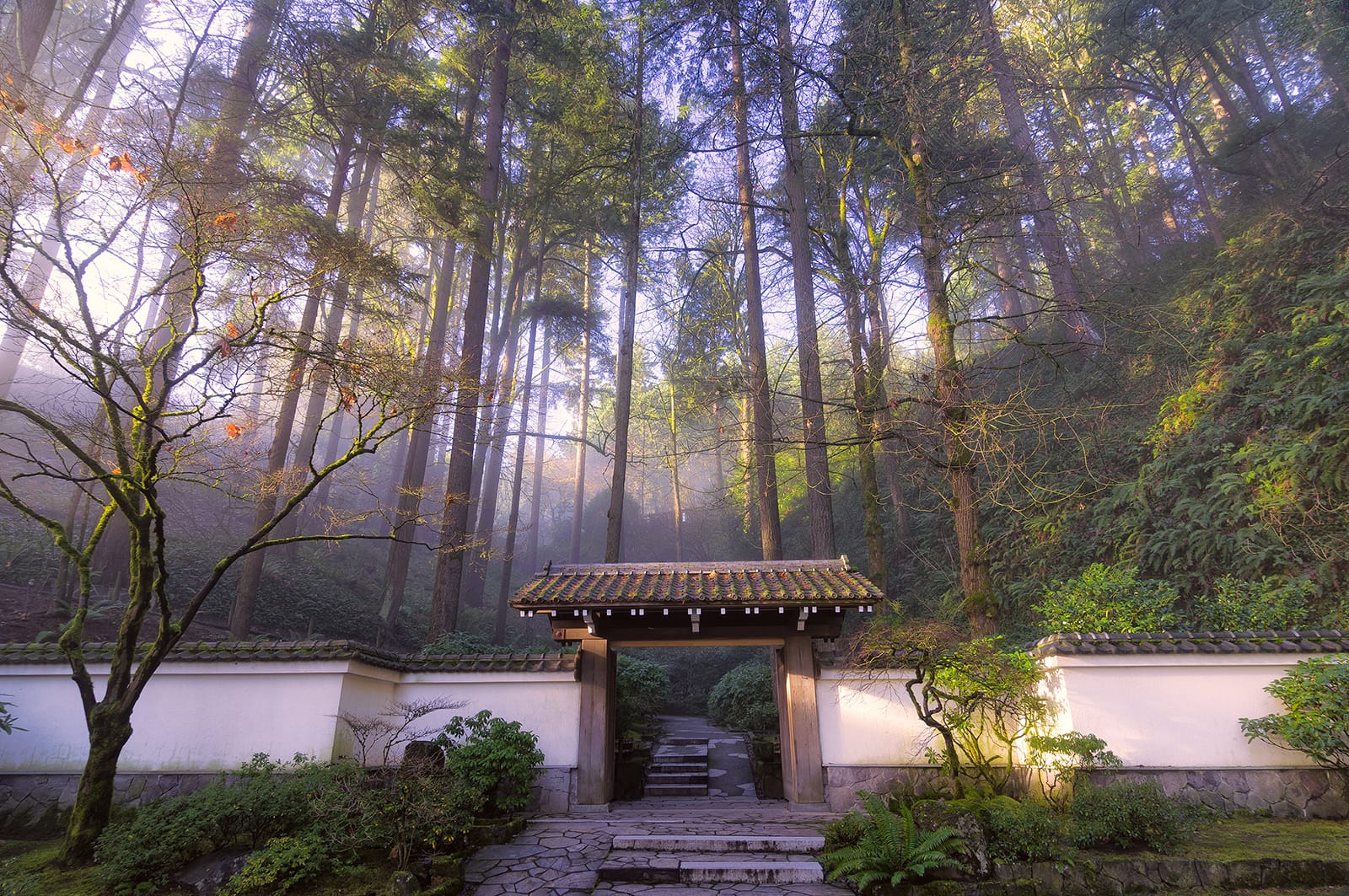 Alaska Airlines and Portland Japanese Garden Announce Partnership