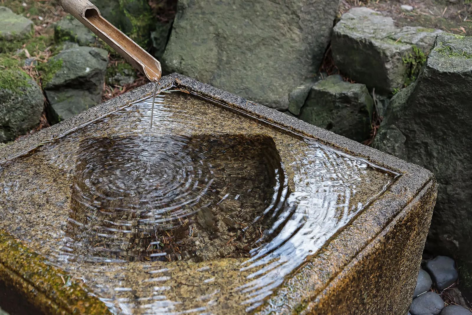 Visitor FAQs – Portland Japanese Garden
