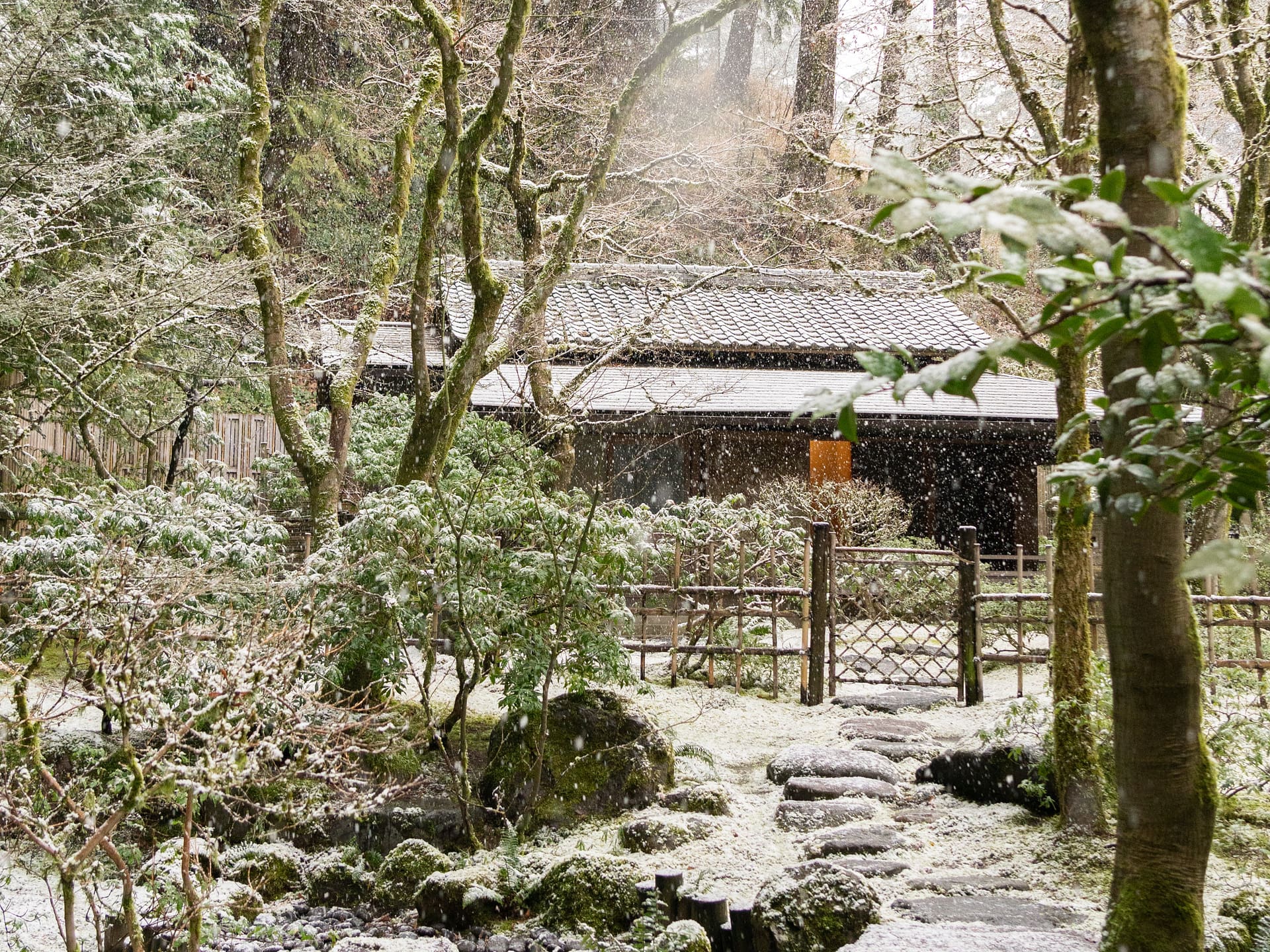 2025 in Review: Portland Japanese Garden's Original Writing