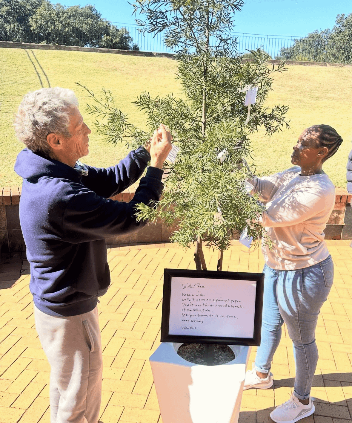Yoko Ono Wish Tree Art Installation Brings Message of Hope to Portland ...
