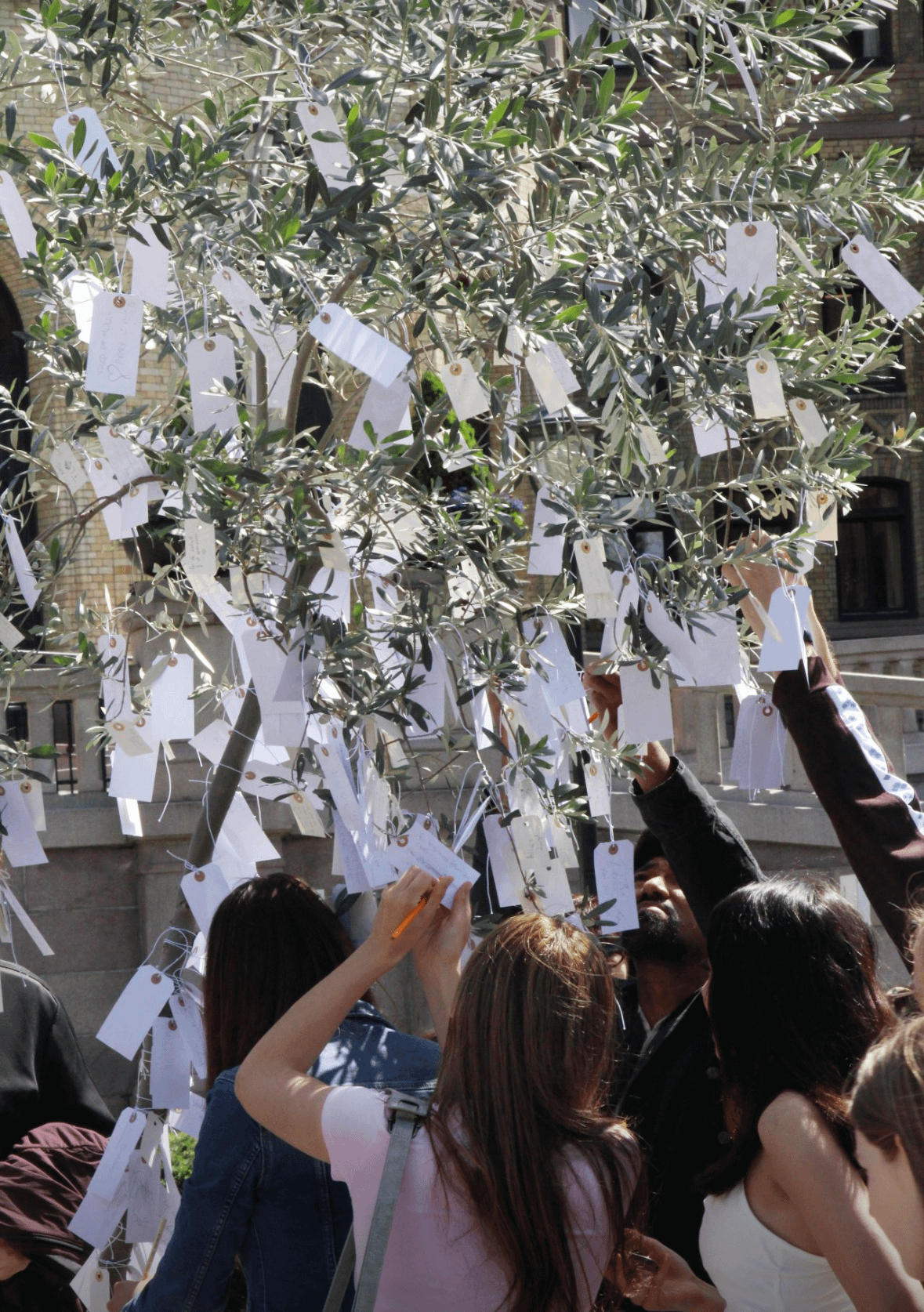 Yoko Ono Wish Tree Art Installation Brings Message of Hope to Portland ...