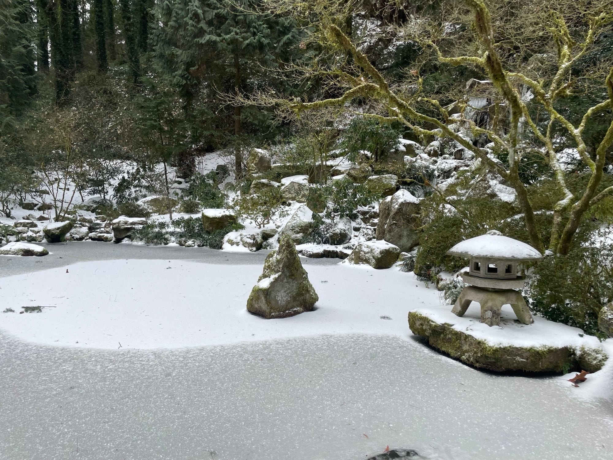 Winter Scenes from the Garden 2024 – Portland Japanese Garden