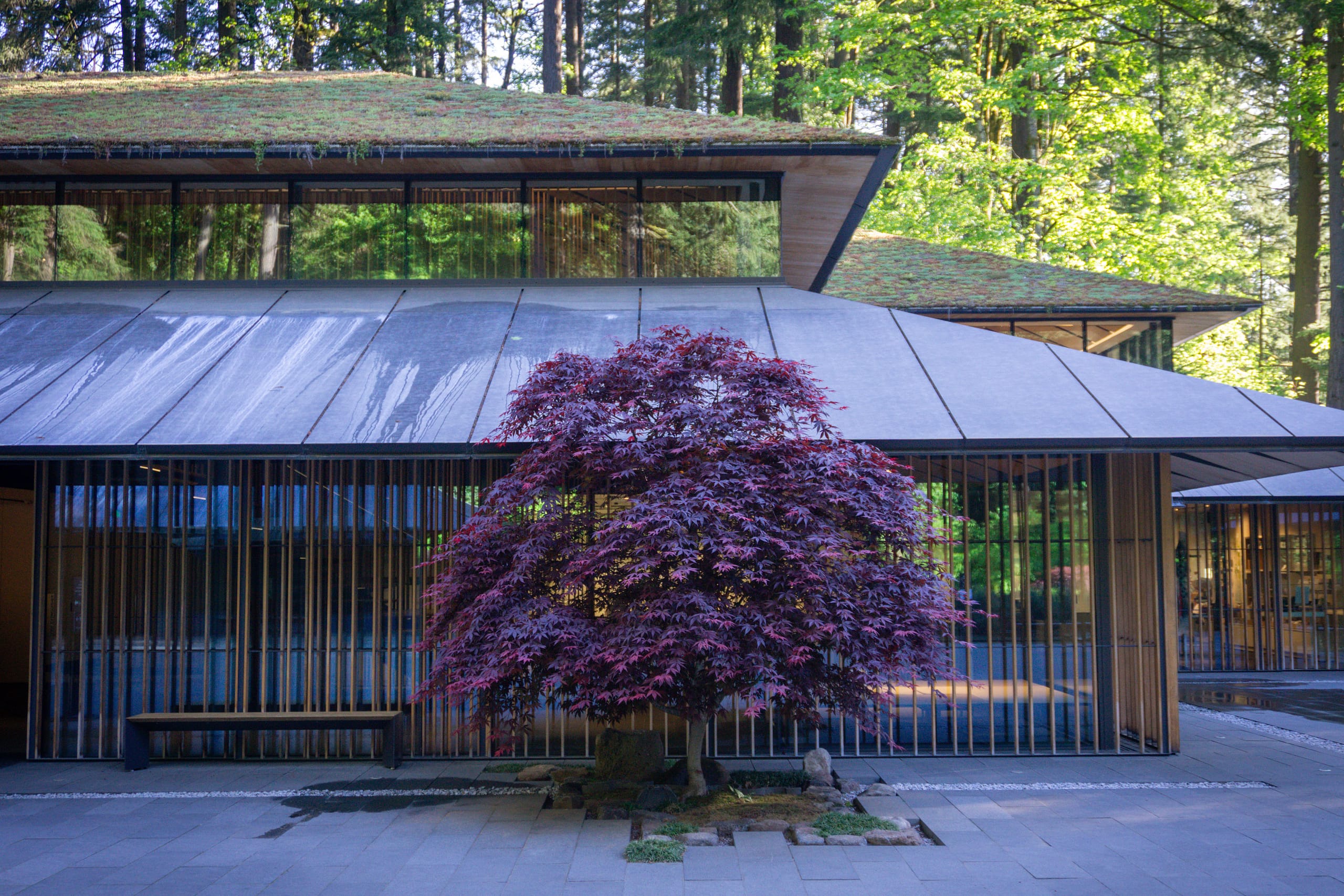 Tsubo-Niwa - Portland Japanese Garden