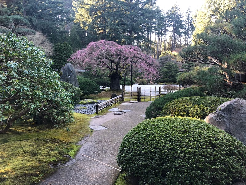 Spring in the Garden: March 09, 2020 – Portland Japanese Garden