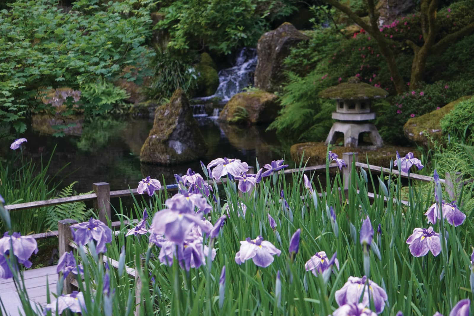 Glimpse of Spring – Portland Japanese Garden