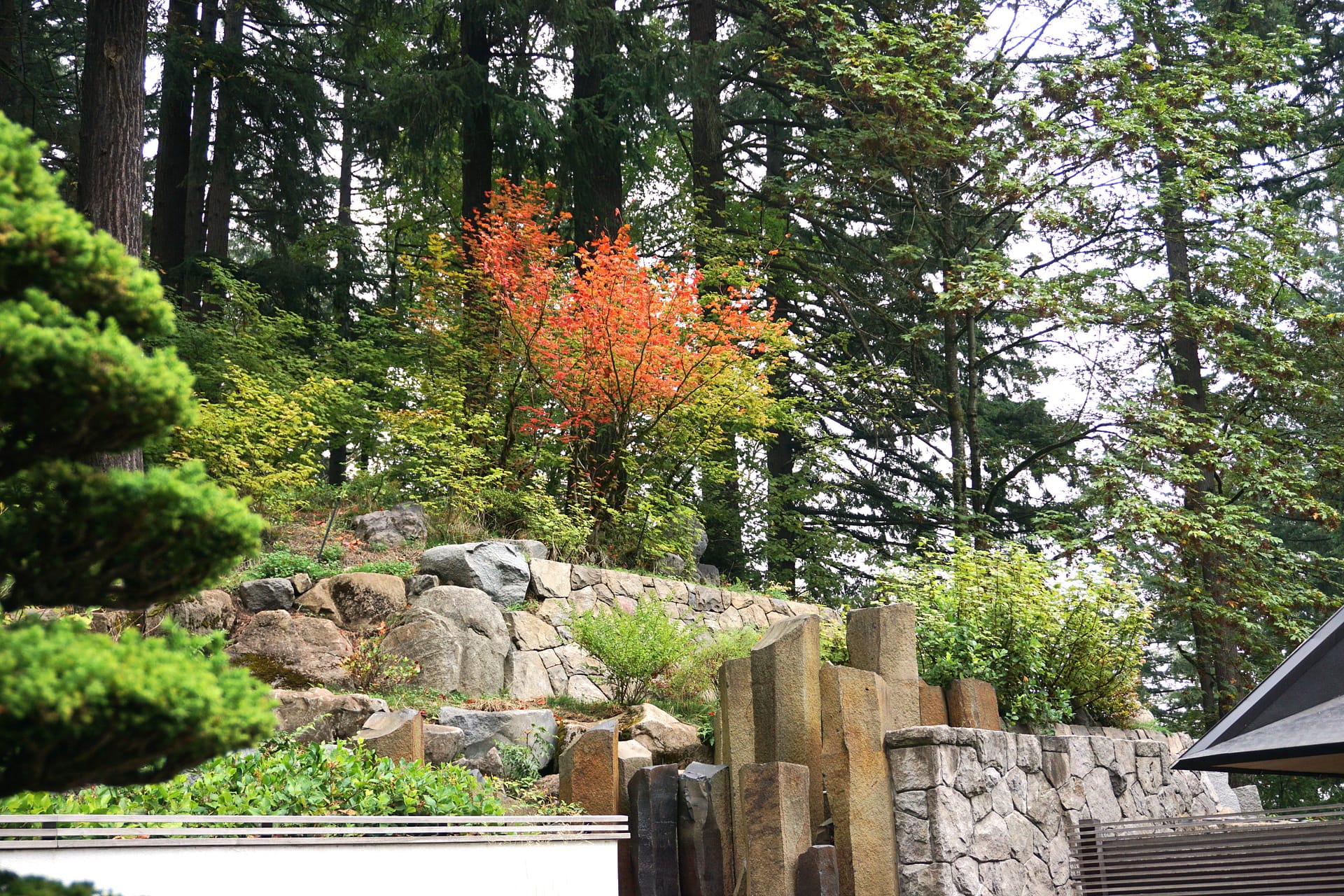 This Often-Overlooked Space at Portland Japanese Garden Evokes Feelings ...