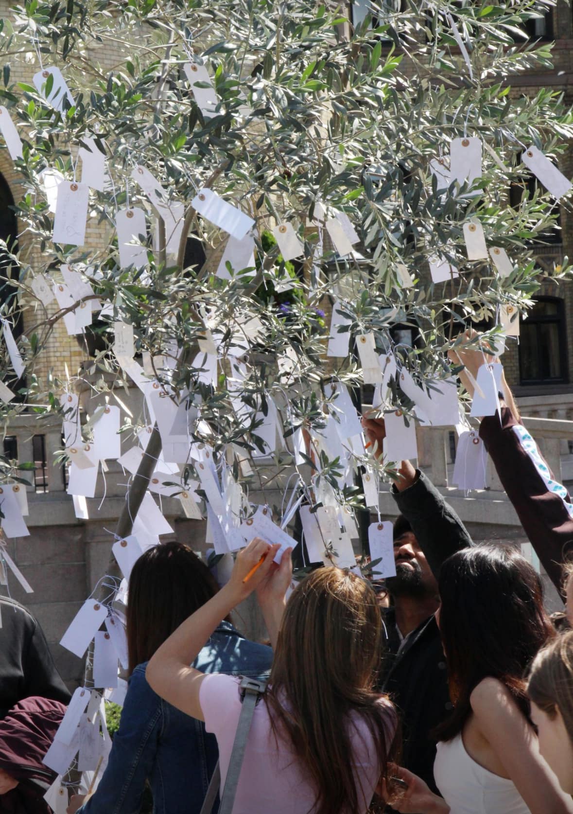 Yoko Ono Wish Tree Art Installation Brings Message of Hope to Portland ...