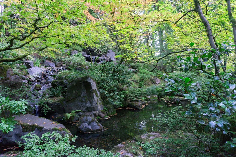 Koi: Learn About The Living Jewels of Portland Japanese Garden ...