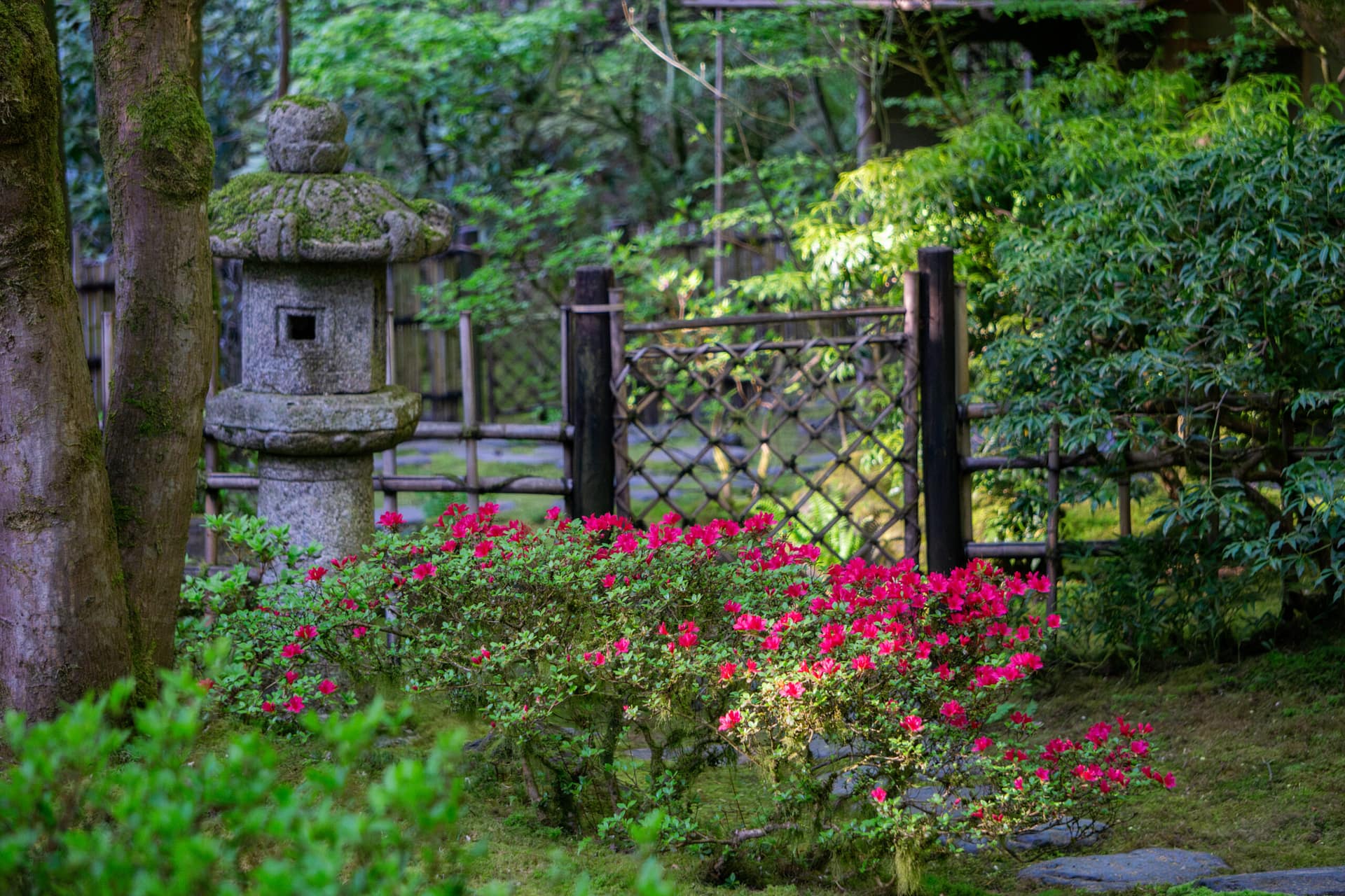 Tranquil Simplicity: Exploring the Meaning of Wabi Sabi in Portland Japanese Garden – Portland ...
