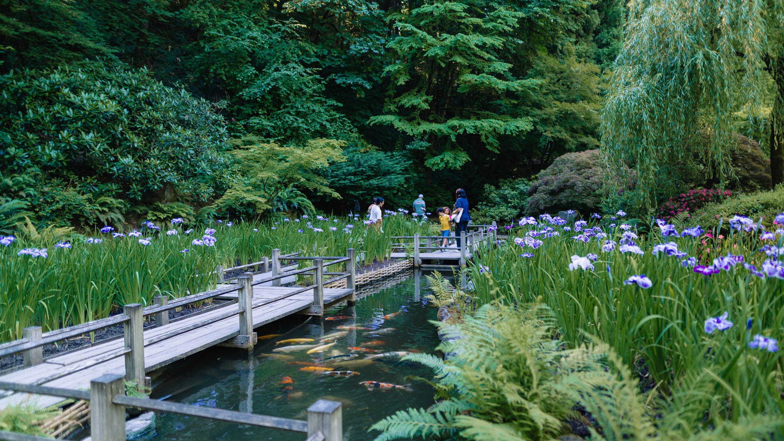 Portland Japanese Garden