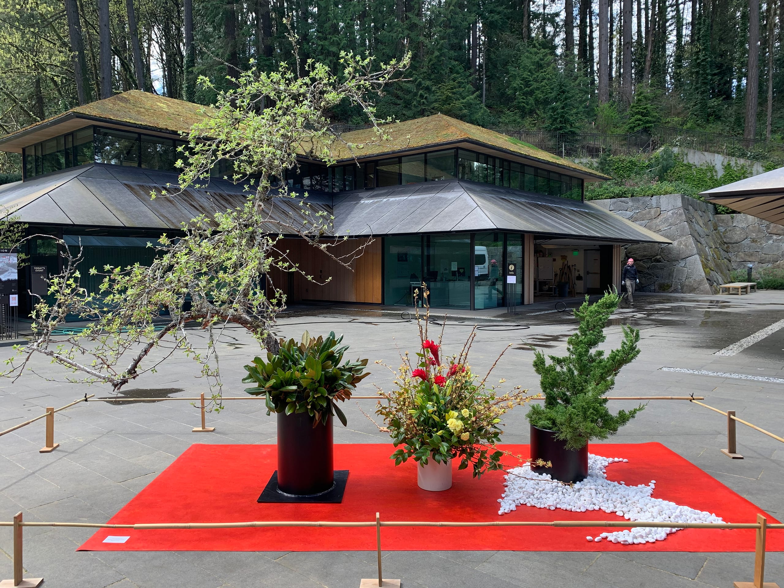Yume, Ikebana Display Presented by Saga Goryu School North America ...