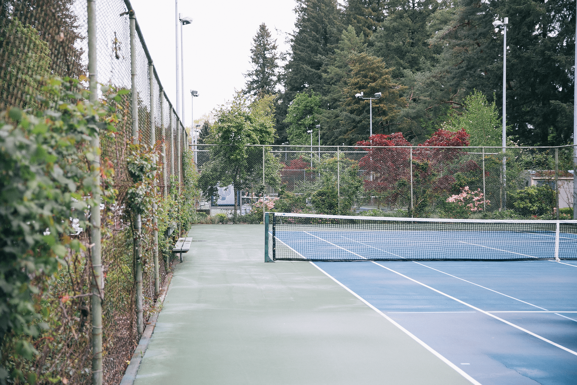 Washington Park: Mapping Out What to Do and What to See in One of ...