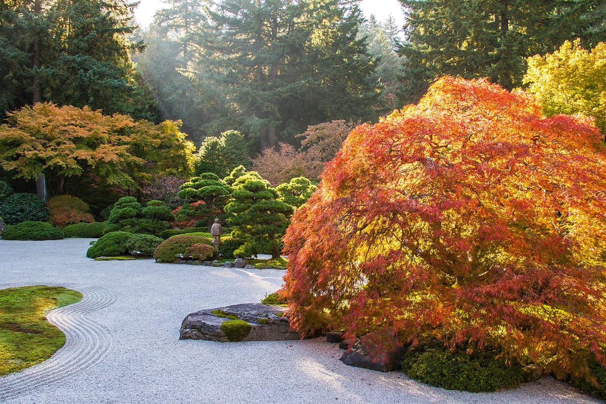 Portland Japanese Garden Fall Portland Japanese Gardens With Bridge