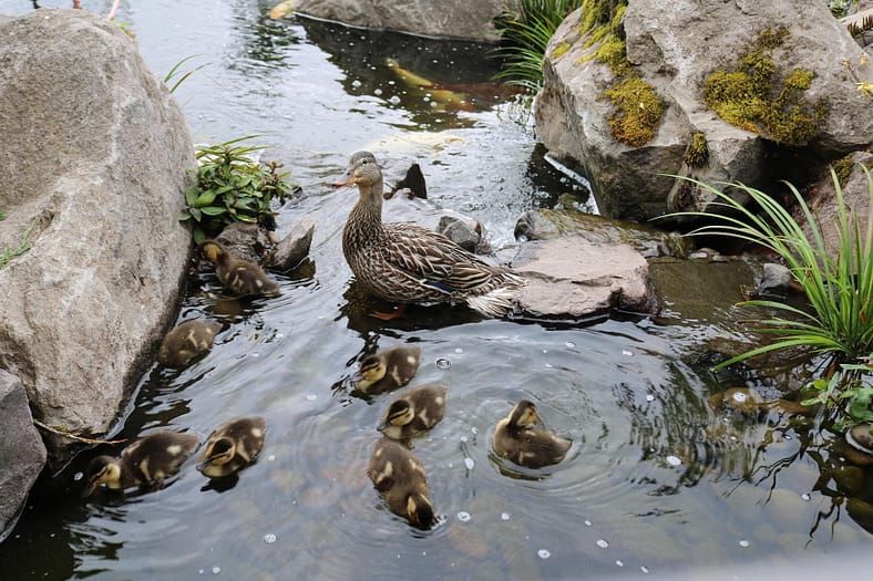 The Healing Power of a Garden: Oregon State Penitentiary’s Memorial ...