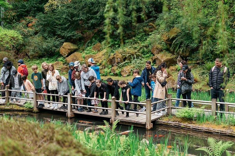 Kodomo no Hi, Children's Day – Portland Japanese Garden
