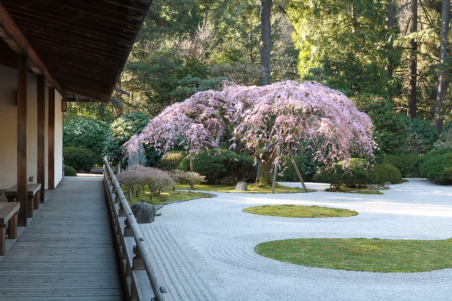 First Day of Spring – Portland Japanese Garden