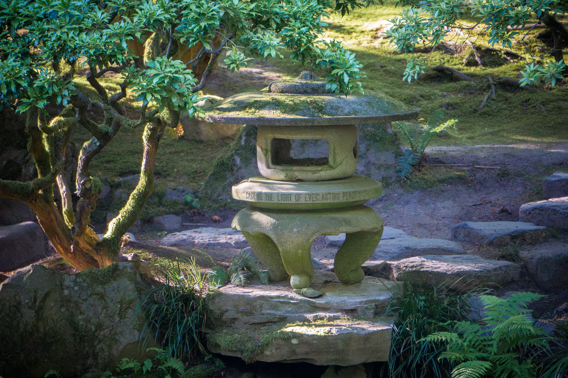 SPREAD PEACE: Wish Tree by Yoko Ono Global Interactive Art Installation ...