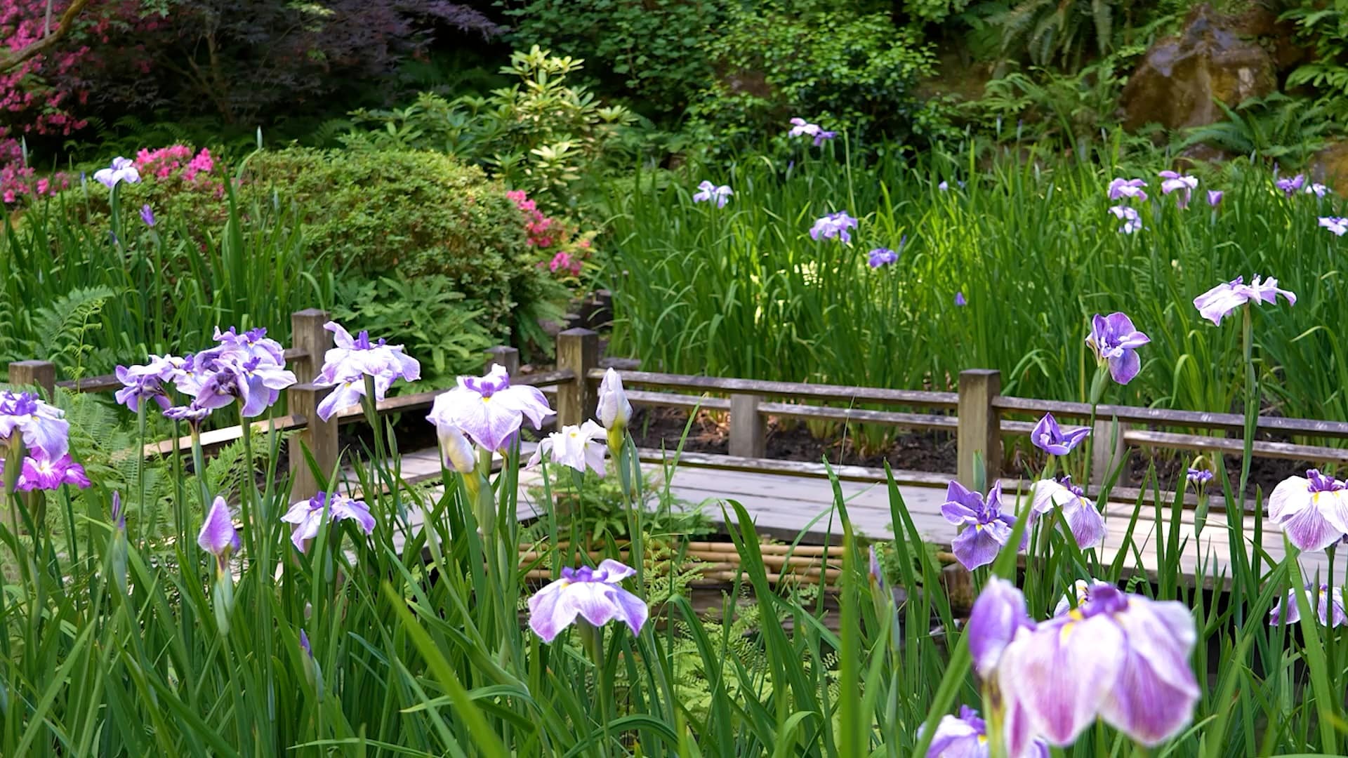 Portland Japanese Garden